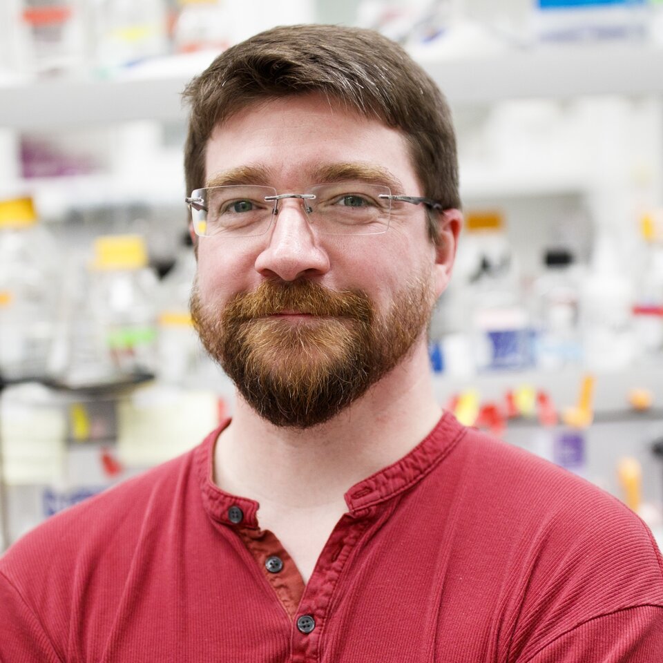 Mark Wilson | Nebraska Center for Integrated Biomolecular Communication ...